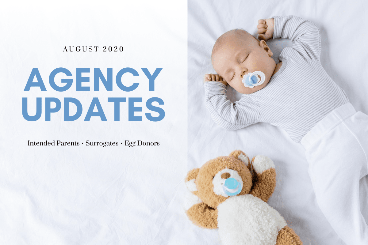 TeamFSC Agency Updates - August 2020