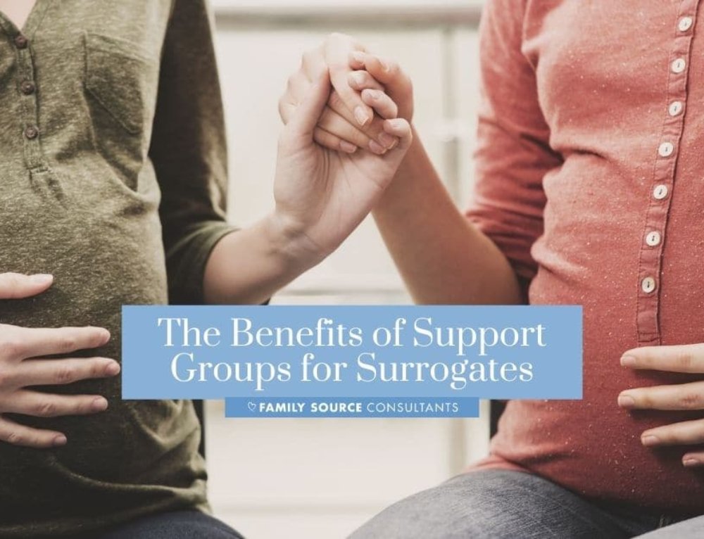 Surrogate Spotlight: Ashley G. • Family Source Surrogacy & Egg Donation ...