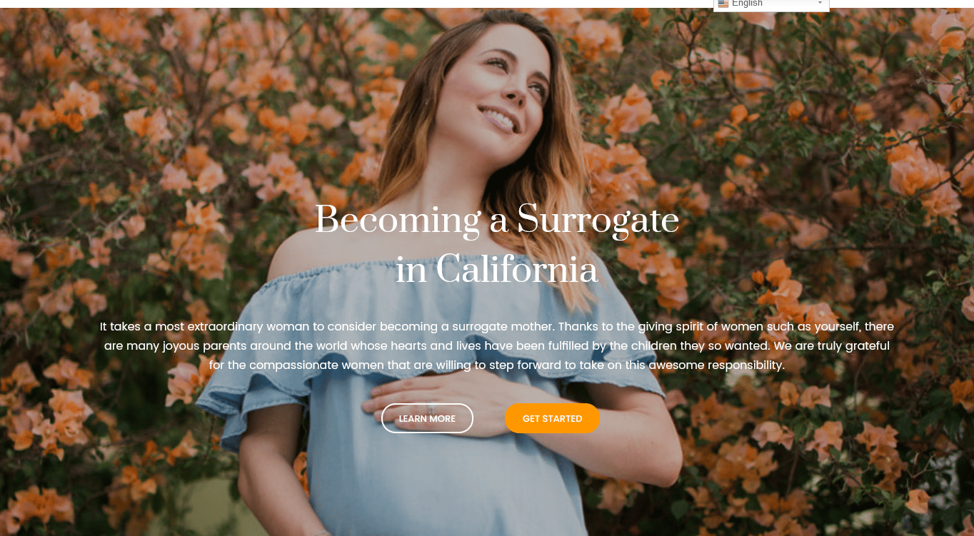 Surrogacy Information For Intended Parents